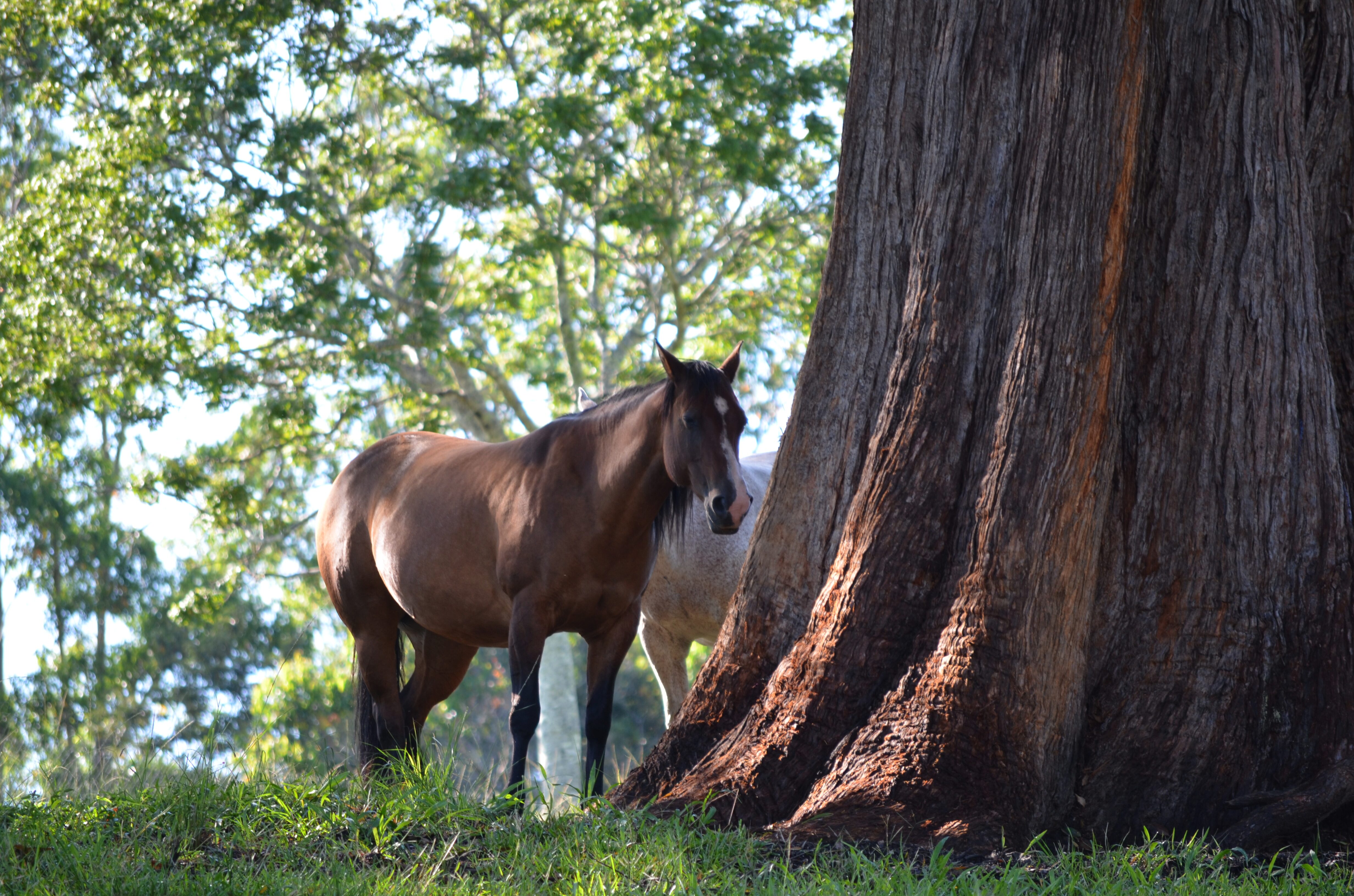 About » Niamh Fitzsimons Photography